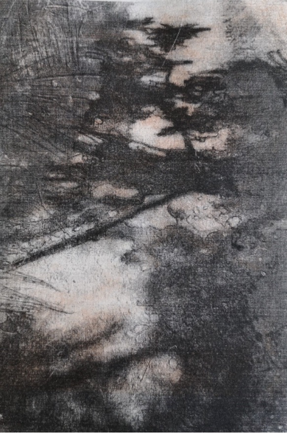 Brenda Proctor | Samphire Gallery