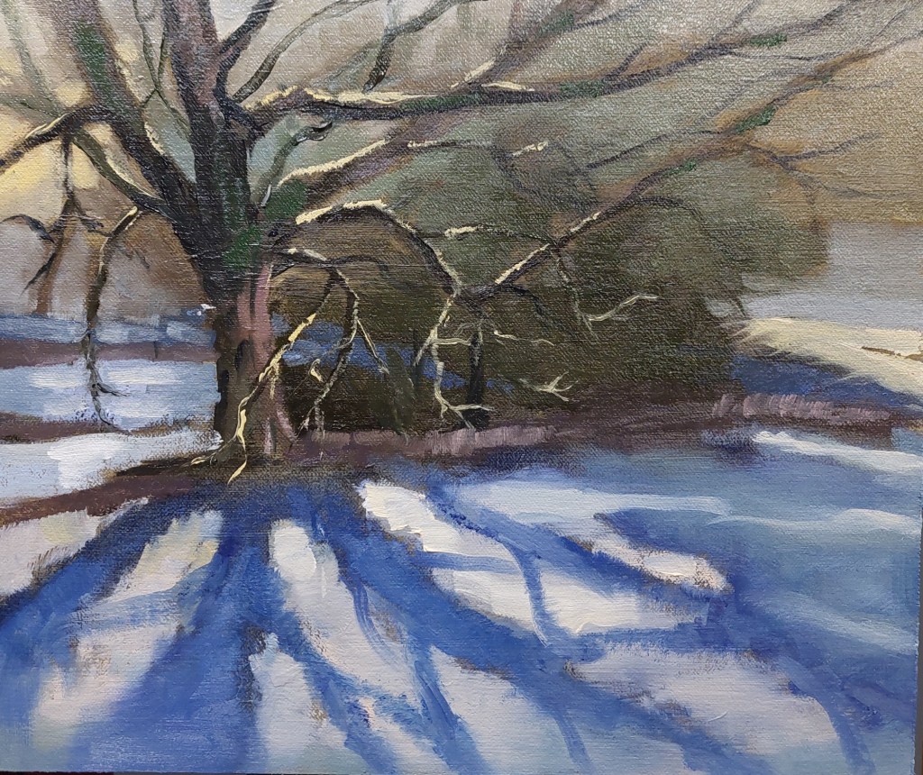 Elizabeth Gilbey | Samphire Gallery