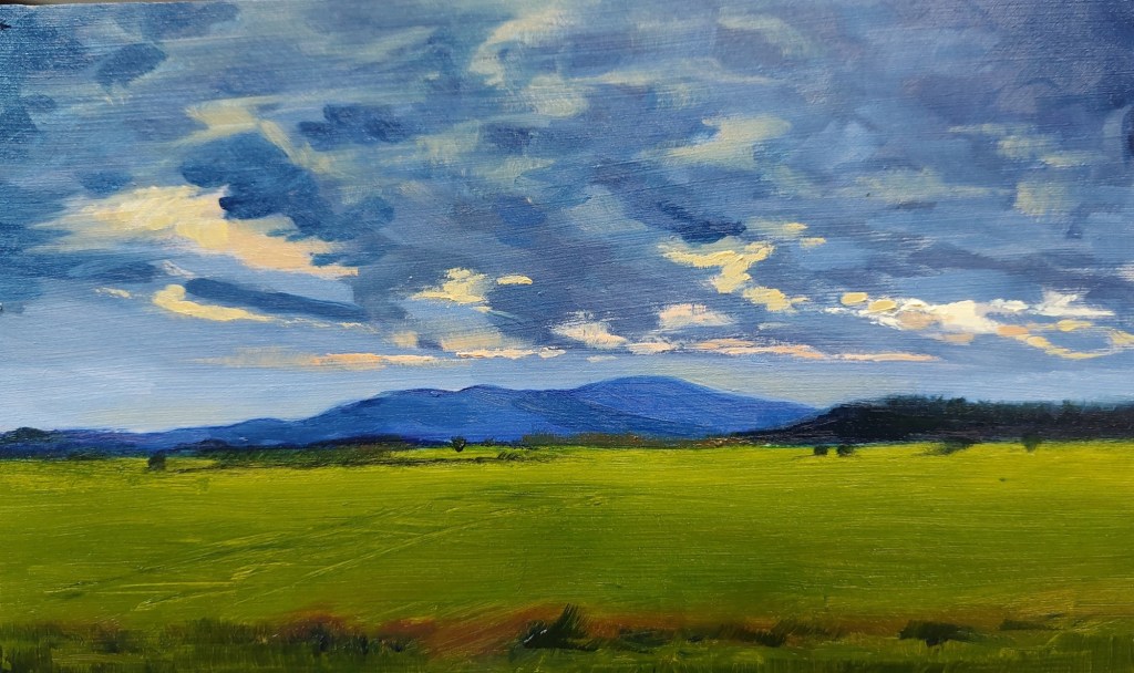 Elizabeth Gilbey | Samphire Gallery